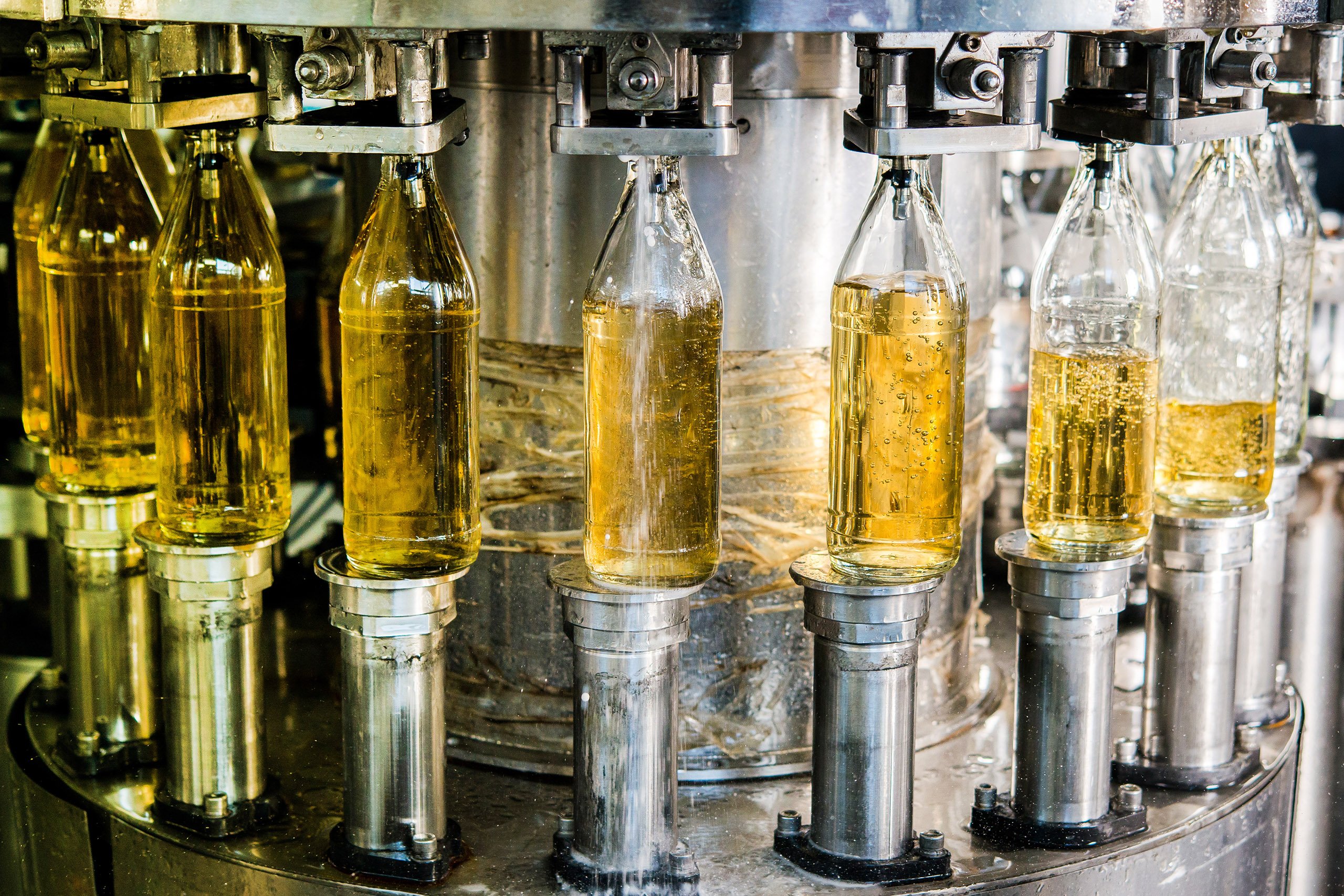 Refriango seeks financial backing to develop Angola and expand into DRC ...